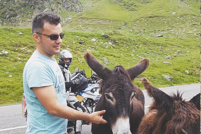 13 Days Private Tour in Romania from Bucharest - FAQs