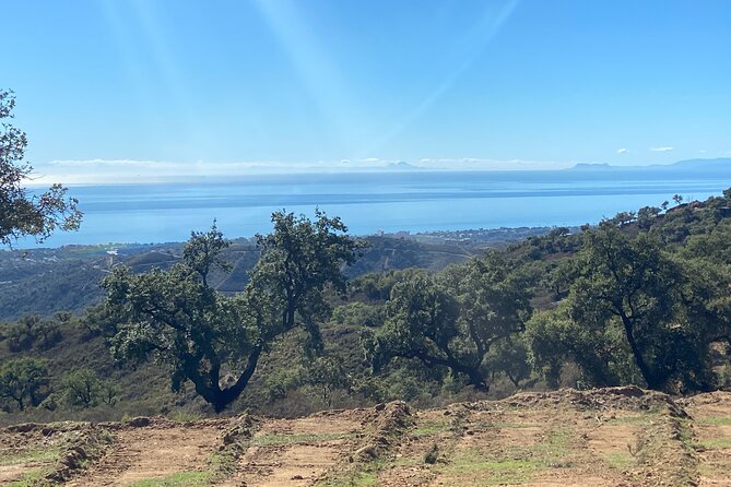 2 Hour Buggy Tour Off-Road Adventure in Mijas - Who Should Consider This Tour
