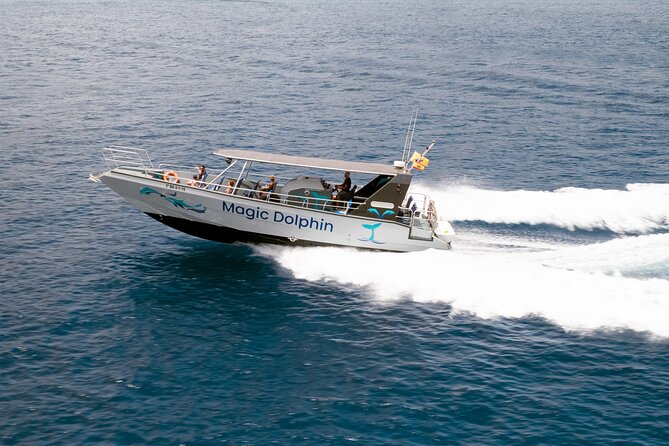 2-Hour Dolphin Watching Experience in Fuerteventura - Is This Tour Worth It?