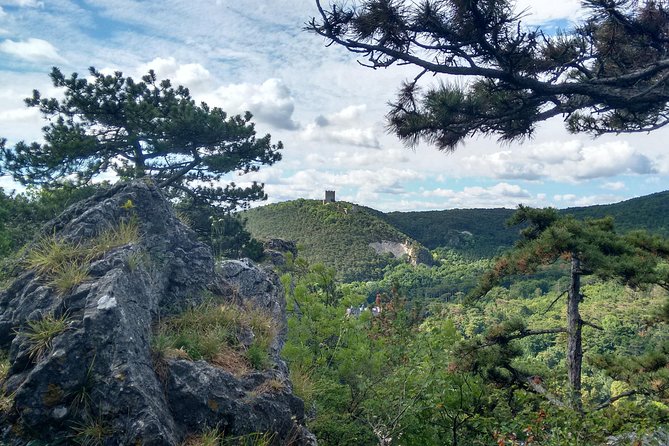 2-Hour Private Hiking Tour Helenental Castles Hike from Vienna - Practical Details & Tips