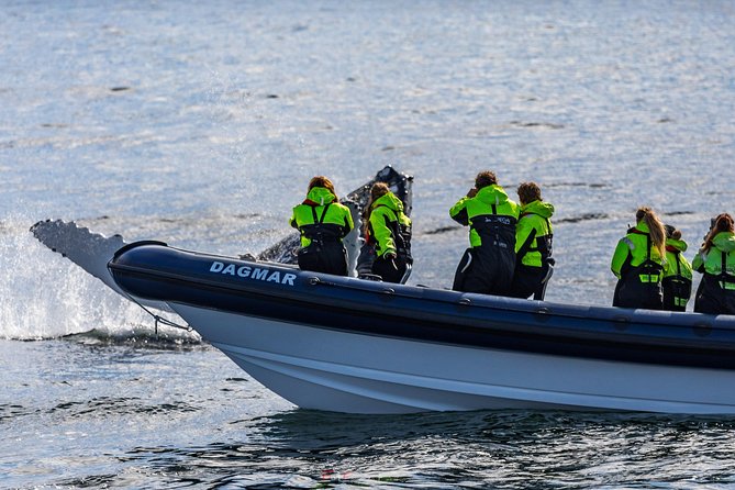 2-Hour RIB Boat Whale Watching Tour from Reykjavik - Analyzing the Cost and Value