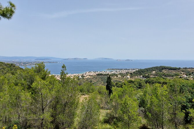 2-Hours 4X4 Tour in Spetses Safari - Final Thoughts: Who Should Consider This Tour?
