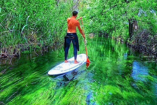 2 Hours guided tour in Sup in the Syracuse coast - What You Get for the Price