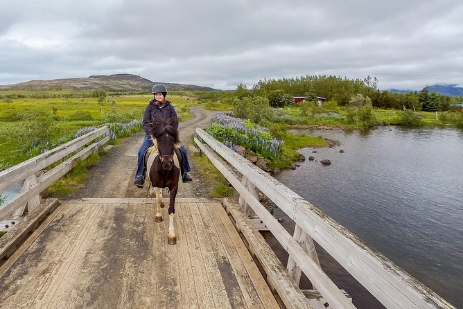 2 hours Private Horse Riding to Lake Hafravatn, Reykjavík - Mos - The Practical Side: What to Expect and How to Prepare