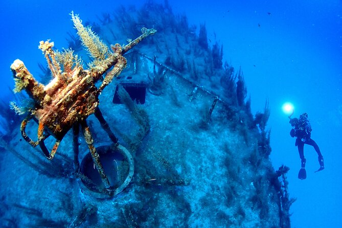 2 Scuba Fun Dives for Certified divers in St Paul's Bay - The Experience: From Briefings to the Bottom of the Sea
