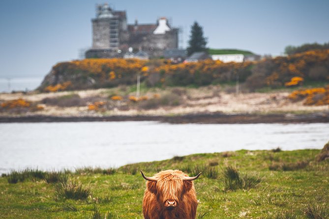 3-Day Isle of Mull and Iona Small-Group Tour from Glasgow - Authentic Experiences and Highlights