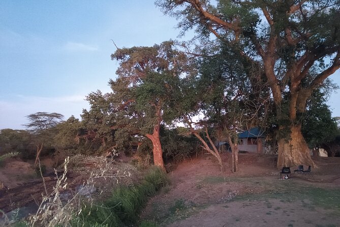 3 Days Masai Mara Camping Safari - The Sum Up: Why Choose This Safari?