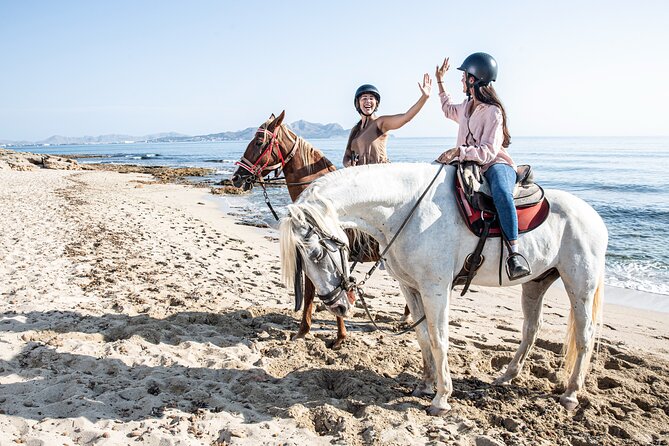 3-Hour Beach Horse Riding to Discover the Beauty of Alcudia Bay - Price and Value Consideration