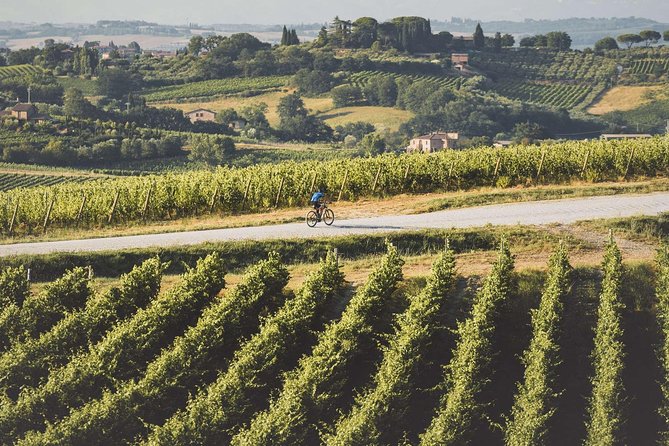 3-Hour Bike Tour and Wine in Tuscany: Nobile's Path - Authenticity and What You’ll Remember
