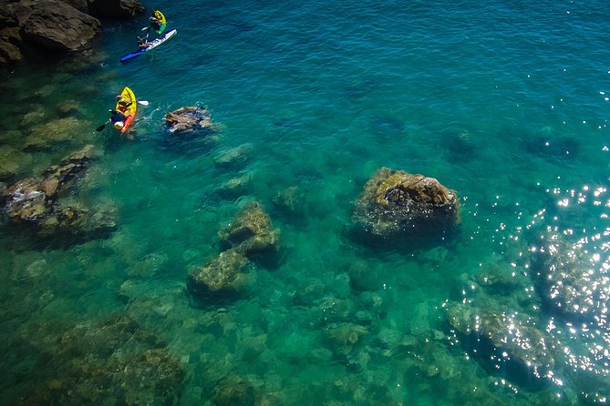 3 Hour of Sea Kayak Trip in the Creeks of Sete - The Final Word: Who Should Consider This?