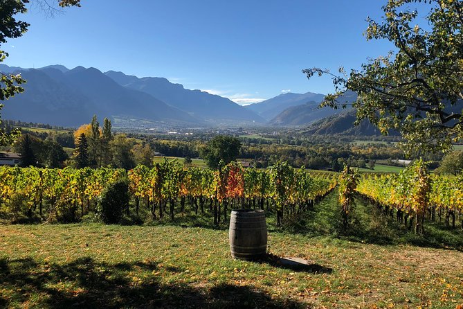 3 Hour Unique Wine Tour - Half Day in Swiss Alps - A Step-by-Step Breakdown of the Itinerary