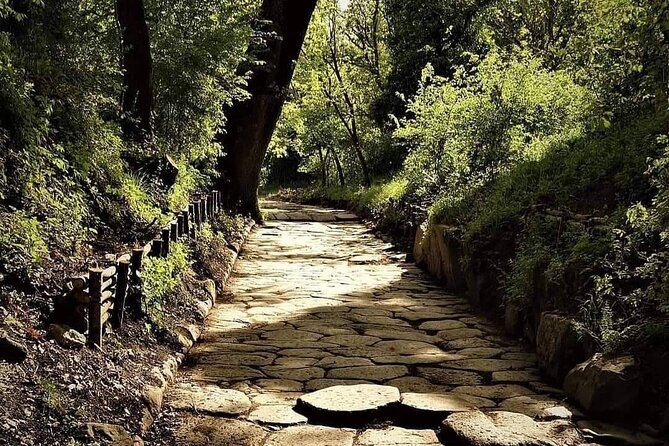 3 Hours Hiking On The Via Sacra Romana Between Lakes Nature And Pasta - Descending to Lake Albano and Savoring Roman Flavors