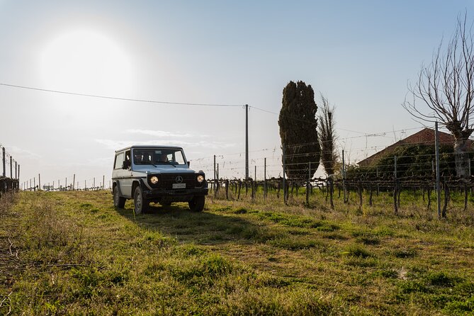 3-Hours of Activities with Safari Grand Tour and Tasting in Vineyards - The Experience in a Nutshell