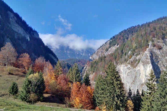 4-Day Carpathian Trek: Bucegi Mountains and Piatra Craiului National Park - Authentic Romanian Hospitality and Cultural Highlights