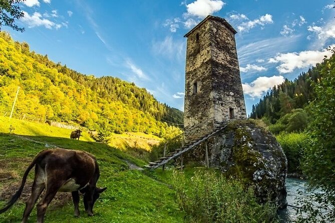 4-Day Tour in Svaneti - Mestia/Ushguli - Cost and Value