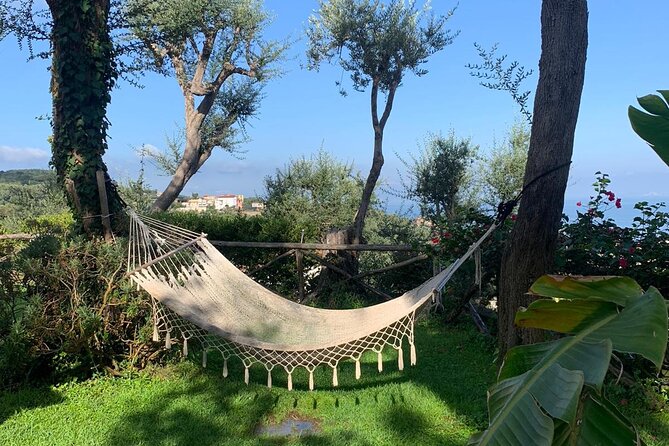 4 Days South Italy Trip - Amazing Experience in Sorrento & Amalfi Coast - Practical Tips for Travelers