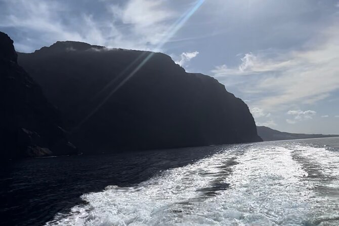4 Hour Boat Tour with Snorkeling from Puerto Rico and Mogan - Who Would Love This Tour?