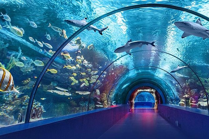 4-Hour Guided Antalya Aquarium Tour - Authentic Experiences from Past Visitors