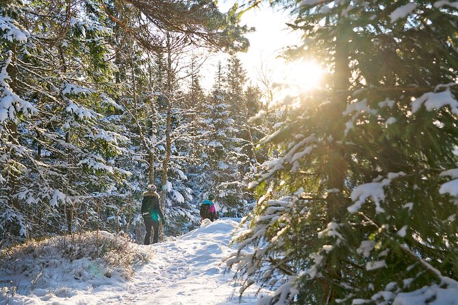 4 hours Best View of the Oslofjord Winter Edition - Who Is This Tour Best Suited For?