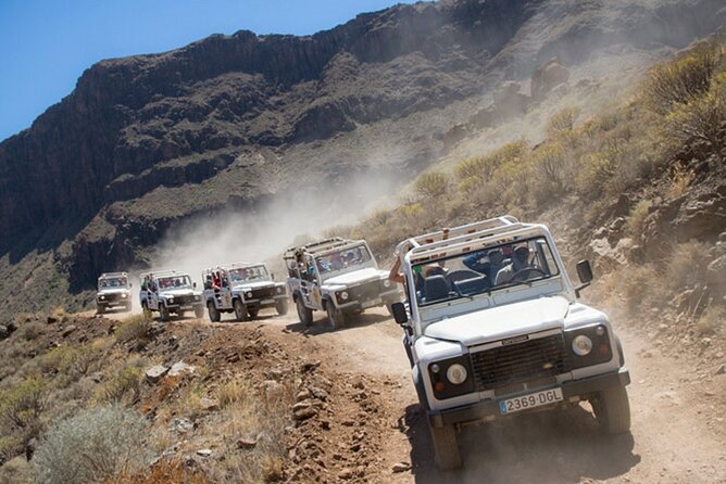 4X4 Safari: Jandía Natural Park and Cofete - Authentic Experiences and Honest Insights