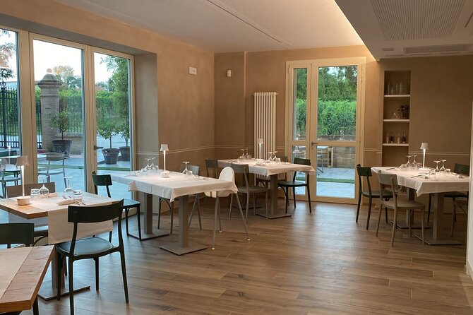5-Hour Food and Wine Tasting in Modena - Who Should Book This Tour?