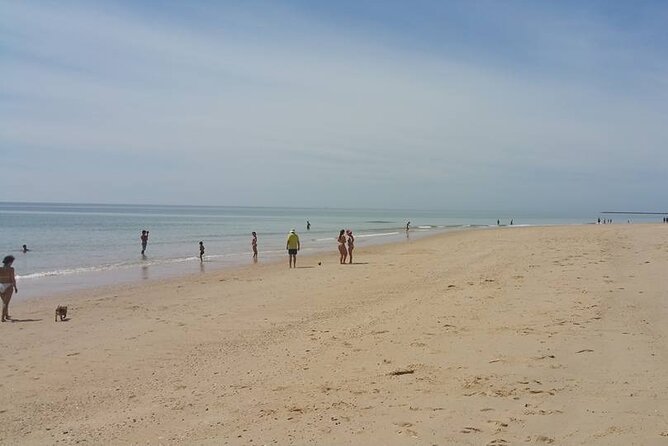 5-hour tour with 3 stops around the islands and beaches of Ria Formosa - Final Thoughts