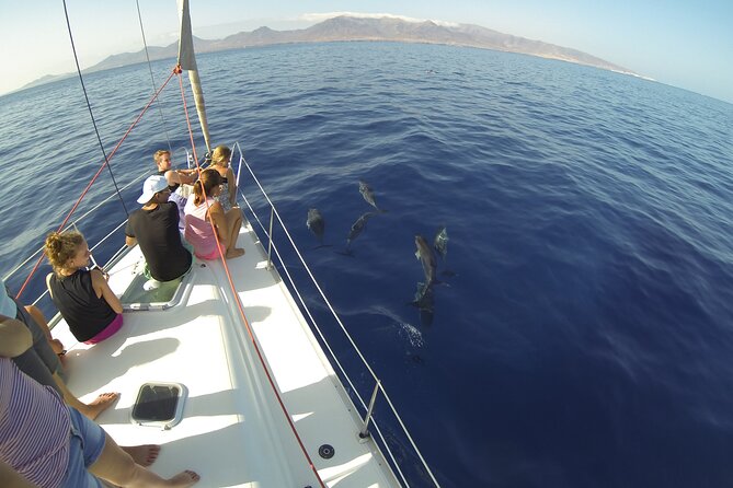 6-Hour Private Sailing Trips from Heraklion to Island of Dia - The Return Journey and Overall Experience
