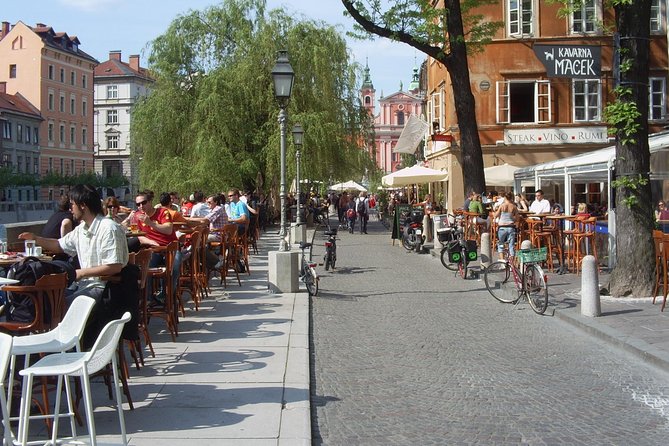 6 Hours Private Shore Excursion to Ljubljana from Koper - Who Should Consider This Tour?