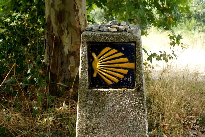 8-Day Camino Frances Pilgrimage Tour from Sarria to Santiago - 2nts Santiago - The Final Word