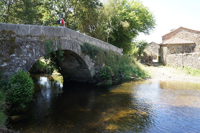 8-Day Camino Frances Pilgrimage Tour from Sarria to Santiago - 6 walking days - What Travelers Say: Authentic Feedback