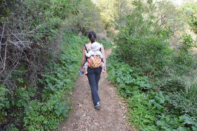 8-day tour of Bucolic Sicily - Frequently Asked Questions