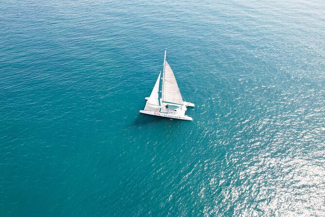 A day at Sea aboard Mundo Marino Catamaran in Valencia - Final Thoughts