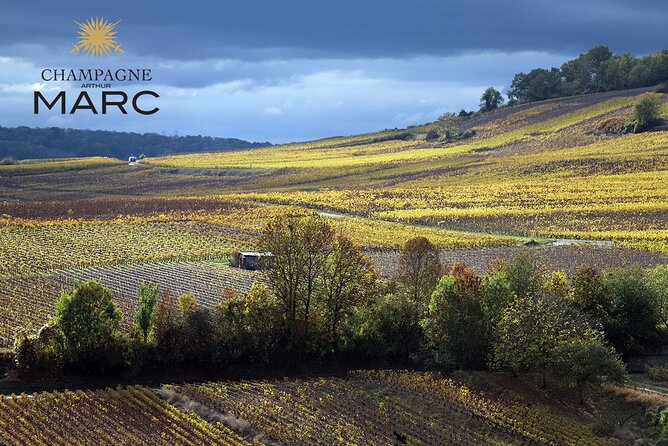 A unique sensory experience in the vineyards - Who Will Love This Tour?