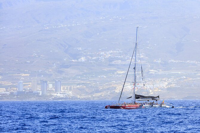 Adults Only Tenerife Freebird Whale Dolphin Catamaran with Lunch - Summing It Up: Is This Tour Worth It?