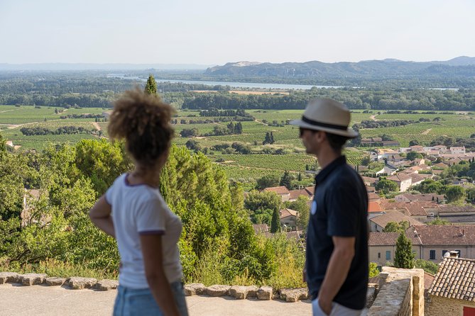 Afternoon Wine Tour to Chateauneuf du Pape from Avignon - Who Should Consider This Tour