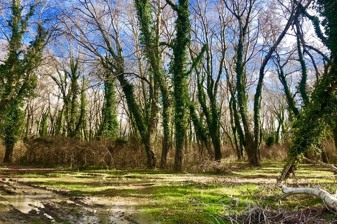 Albania Birdwatching, Kayaking, Bicycle National Park Divjaka Karavasta(ARG) - Detailed Itinerary Breakdown