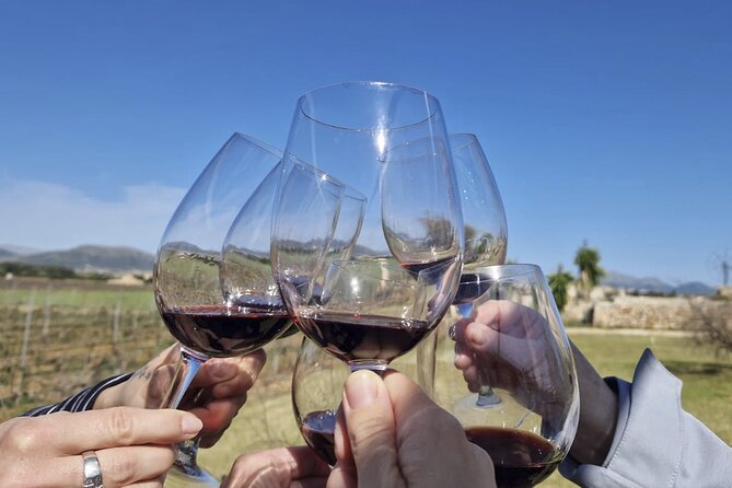 Alcudia Winecellar Tour with Vineyard Visit, Tasting of 5 Wines - Summary: Is This the Mallorca Wine Tour for You?
