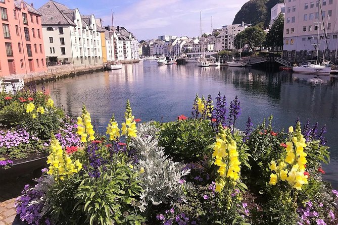 Alesund Sightseeing tour Vikings islands by minibus, 4 hours. Private tour - Final Thoughts
