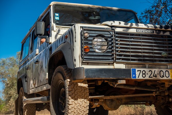 Algarve Coastline & Beaches - Private Tour - Final Thoughts: Is this Tour Right for You?