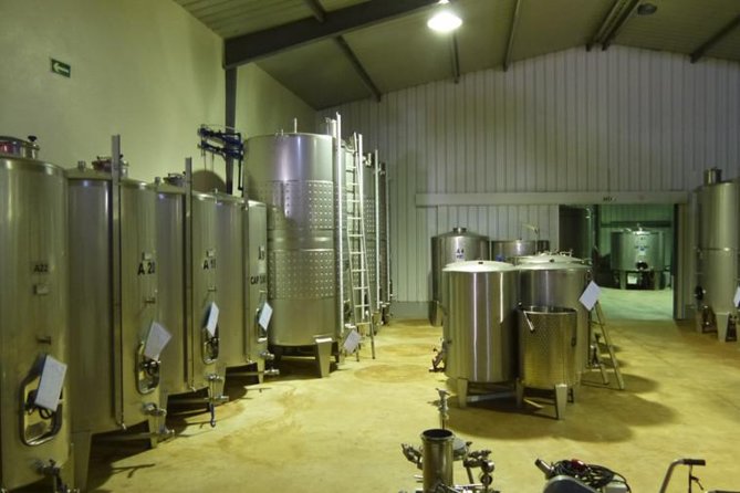 Algarve Wine Tour of Two Wine Estates - What Travelers Are Saying