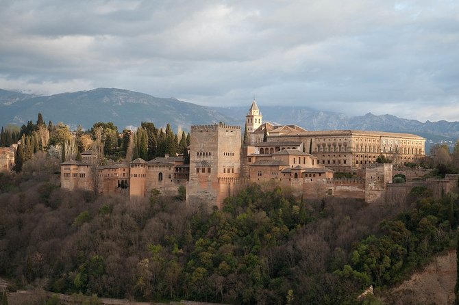 Alhambra: complete guided tour with Nasrid Palaces tickets - What Travelers Are Saying