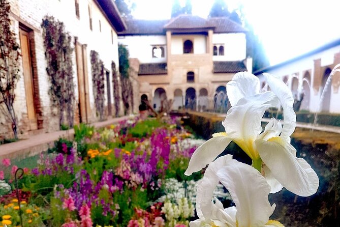 Alhambra Private Tour with Tickets to the Nasrid Palaces - Practical Details: What You Need to Know