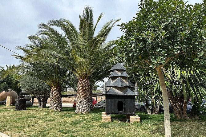 Alicante Old Winery Tour and Wine Tasting Including Transfer - Who Will Love This Tour?