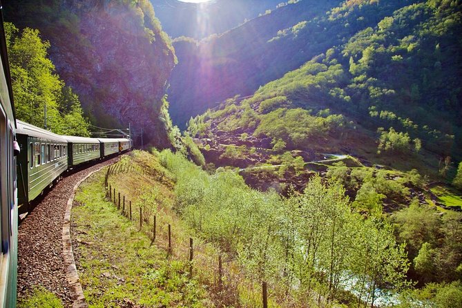 ALL ELECTRIC: Emission free tour to the World Heritage Fjords, 13 hours - What Travelers Say