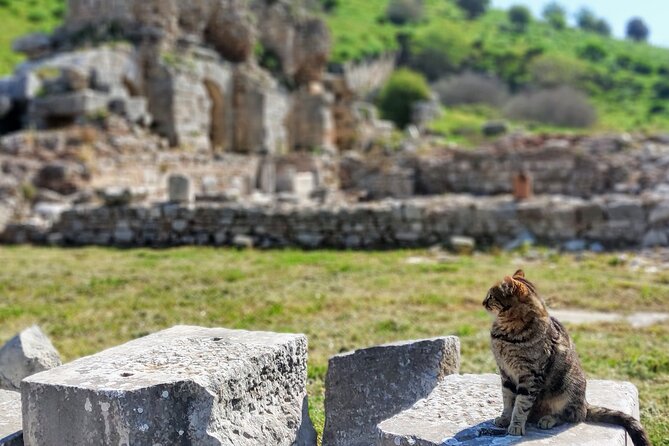 All Inclusive Private Half-Day Ephesus and Sirince Village Tour with Lunch - Authentic Experiences and Authentic Guides