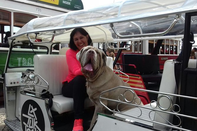 All Lisbon History via TukTuk - Who Should Book This Experience?