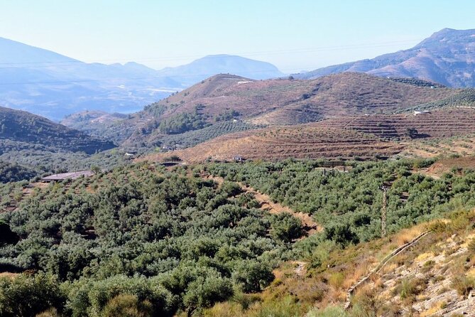 Alpujarras Small Group Tour from Granada - Practical Details for Travelers