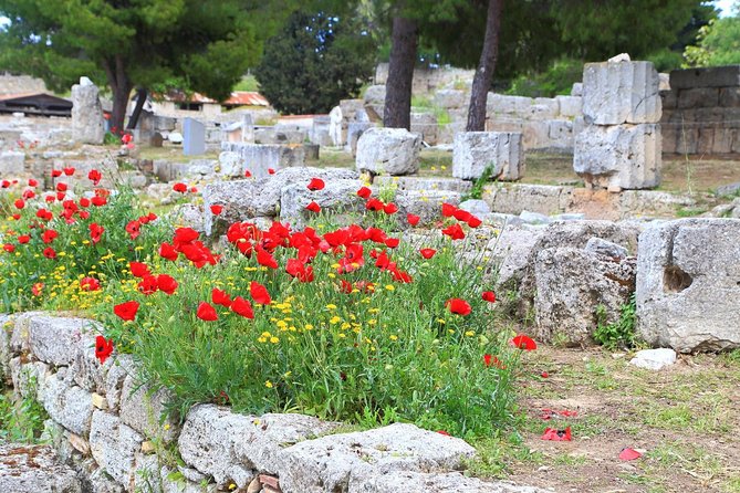 Ancient Corinth & Nafplion One-Day Tour from Athens - Authentic Insights from Fellow Travelers