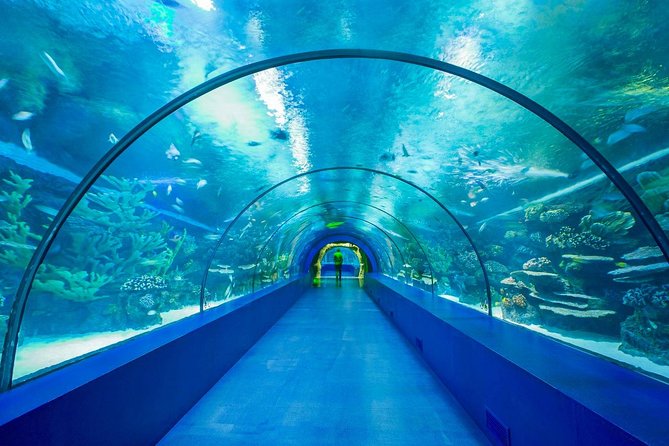 Antalya Aquarium Tour Platinium Tour - Final Thoughts: Who Should Book This Tour?