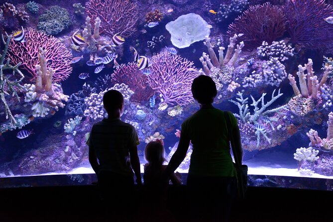 Antalya Aquarium, Wax Museum, Snow World, Wild Park, XD Cinema - Authentic Experiences and Feedback